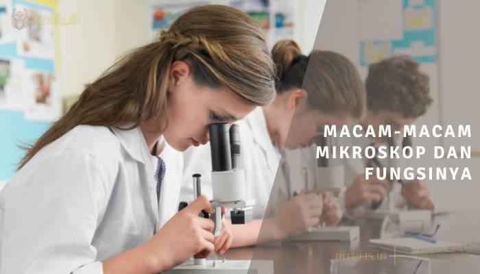 Macam-Macam Mikroskop Dan Fungsinya | Ditulis.ID